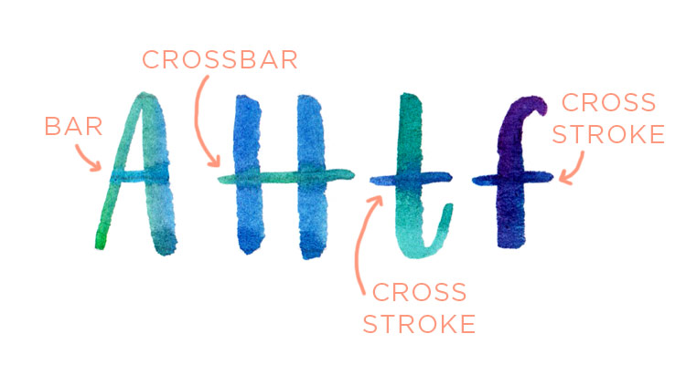 A Colorful Crash Course in Type Anatomy - Every-Tuesday | Blog | Every ...