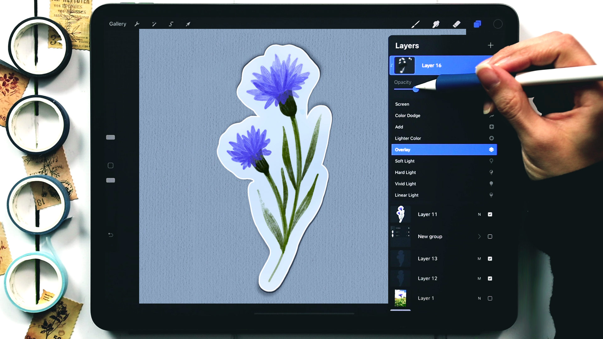 Create A Lifting Sticker Effect In Procreate Every Tuesday