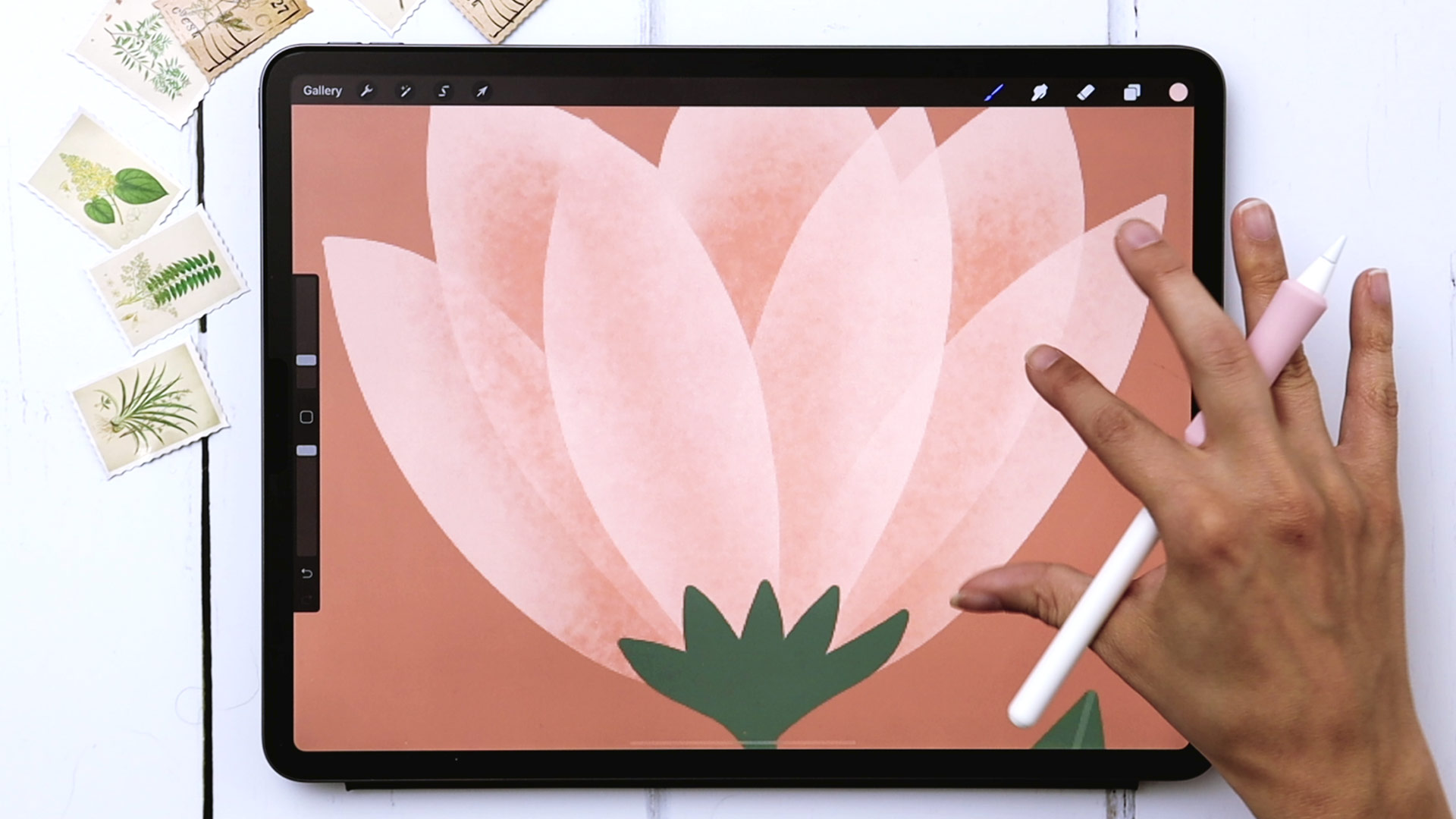 How to Apply Shading to Florals in Procreate - Every-Tuesday | Blog ...