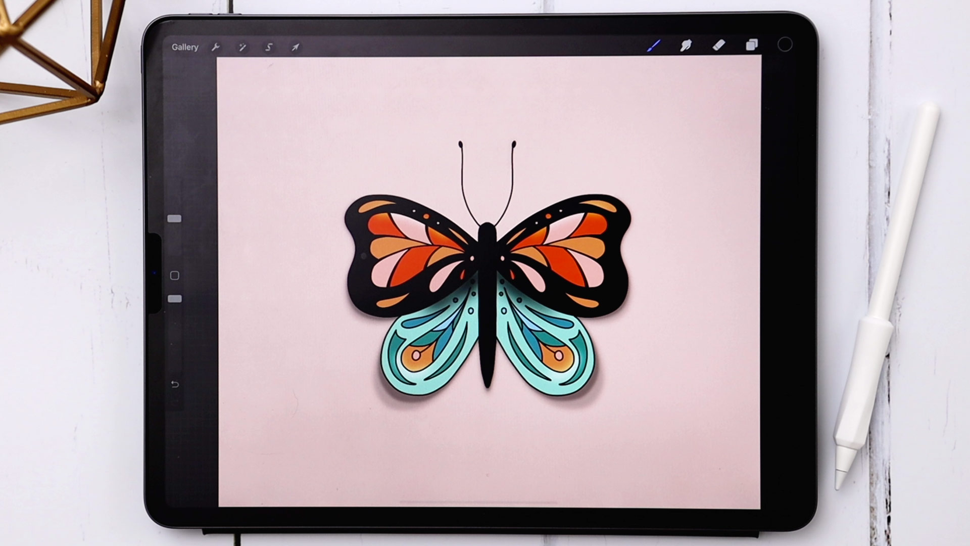 Create a Colorful Butterfly in Procreate - Every-Tuesday