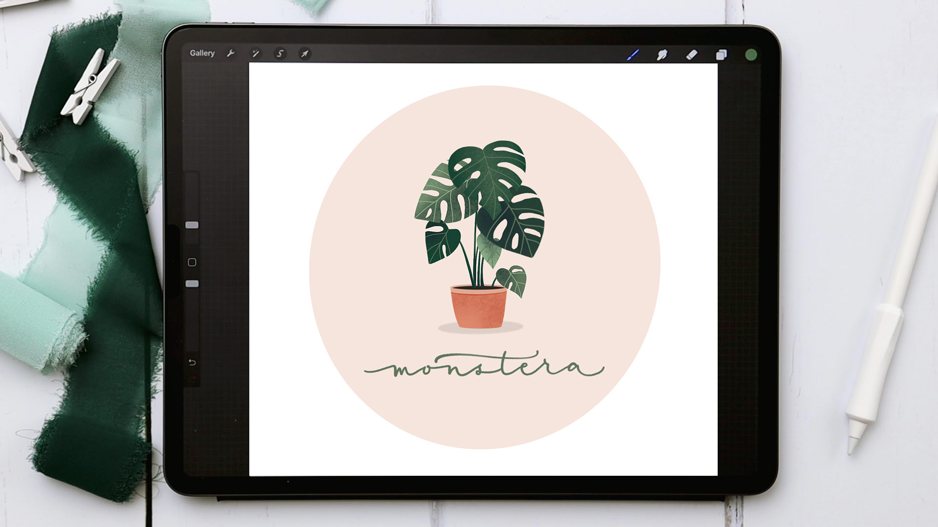 Draw a Monstera Plant in Procreate - Every-Tuesday | Blog | Every-Tuesday
